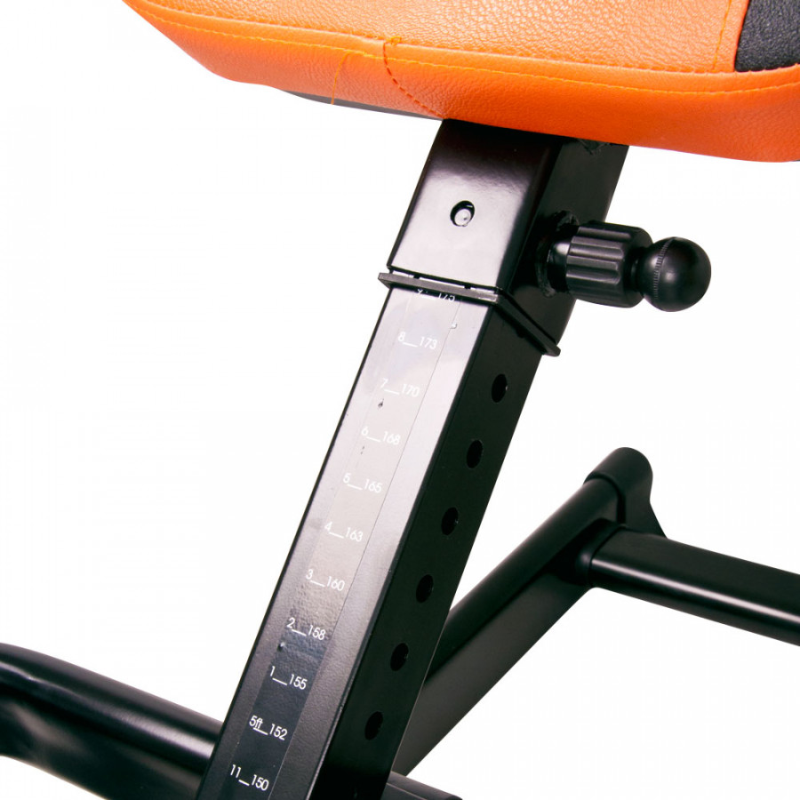 Inversion Table inSPORTline Inverso Profi | YAKOSPORT.EU